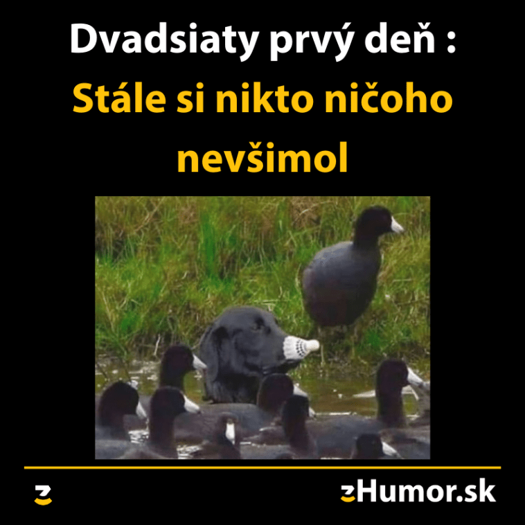 Zopár memečiek, ktoré vznikli, aby ti spríjemnili dnešný deň #924 ...