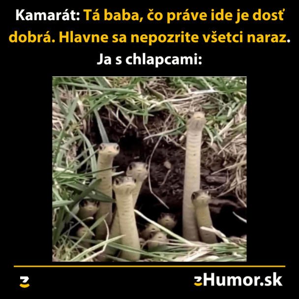 Hlavne sa pozrite nenápadne a nie všetci naraz