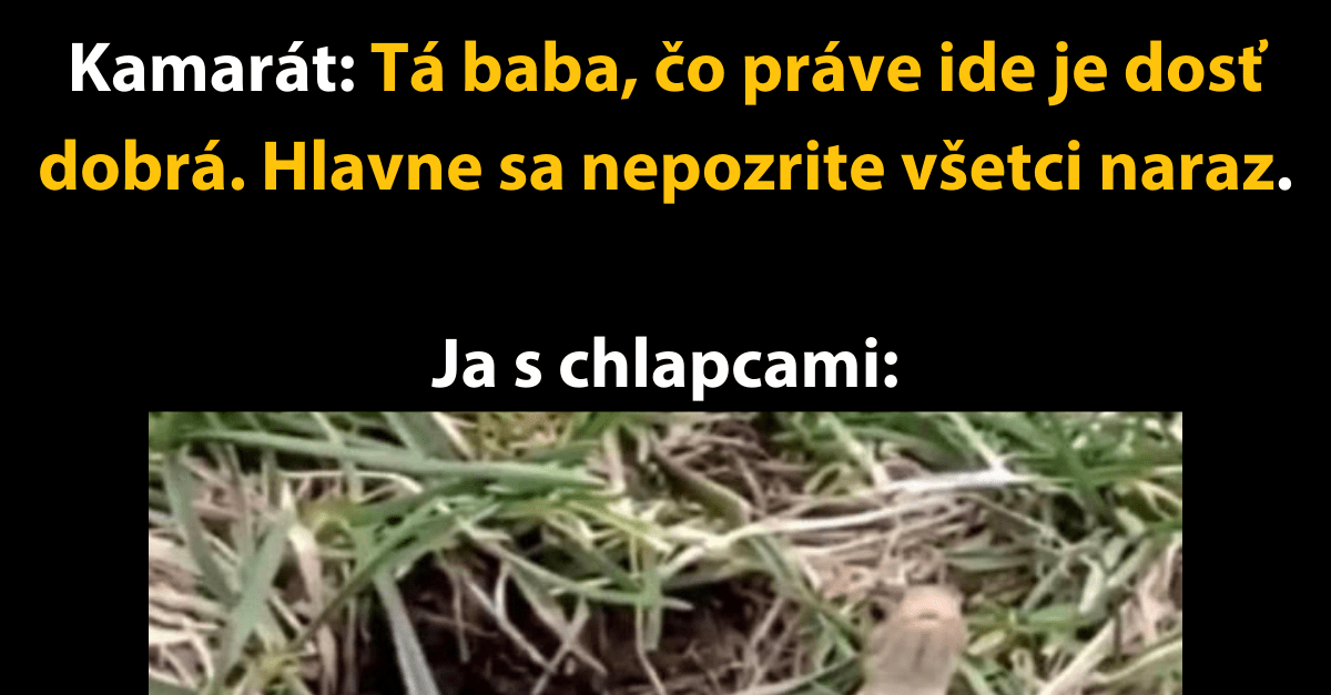 Hlavne sa pozrite nenápadne a nie všetci naraz