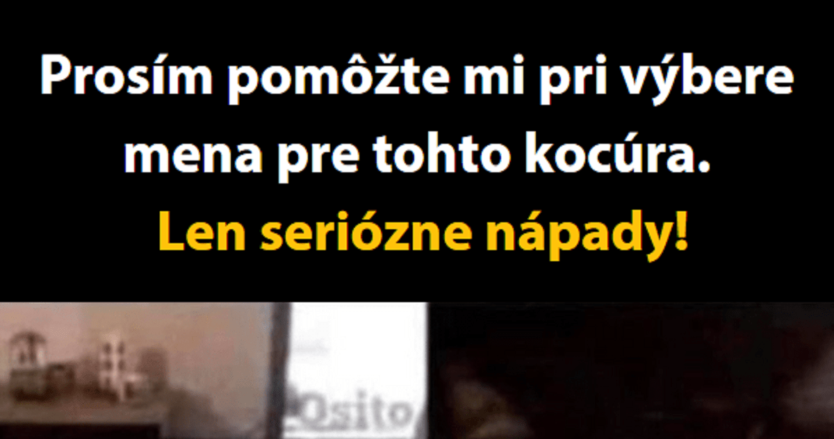 Meno pre kocúra