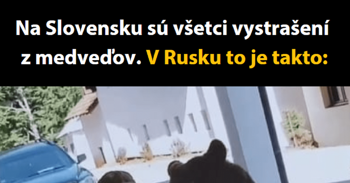Medveď v Rusku | Meme