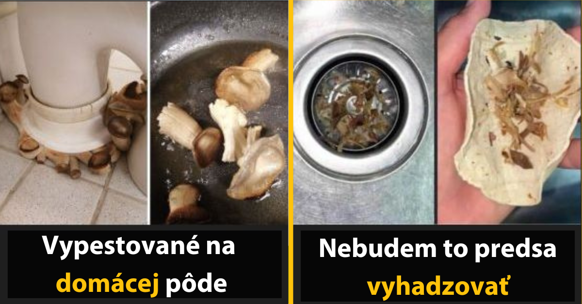 Títo ľudia zničili jedlo tým najhorším možným spôsobom