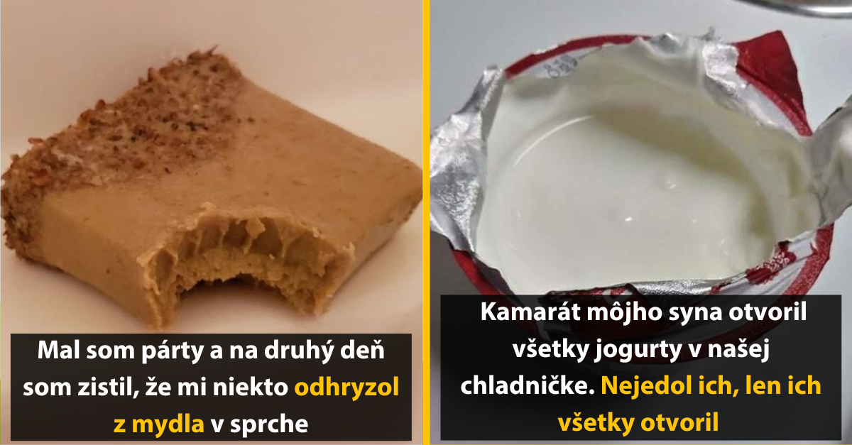 Hostia, ktorých by už nikto nikdy nemal nikam pozvať | Zábavné kompilácie