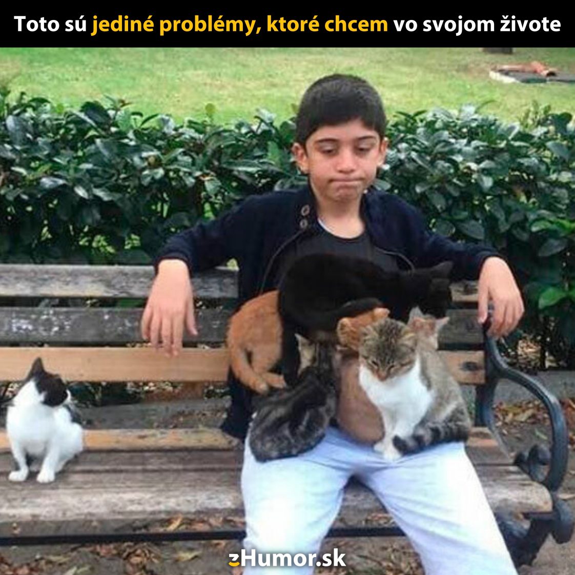 Zopár memečiek, ktoré vznikli, aby ti spríjemnili deň #1310: Prosím ...