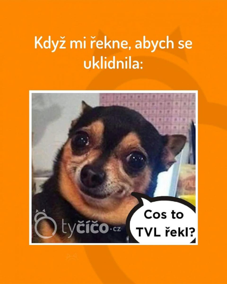 20+ Obrázkov: Všetko vtipné z internetu! #348 - tvoj pes sa ti niečo snaží naznačiť