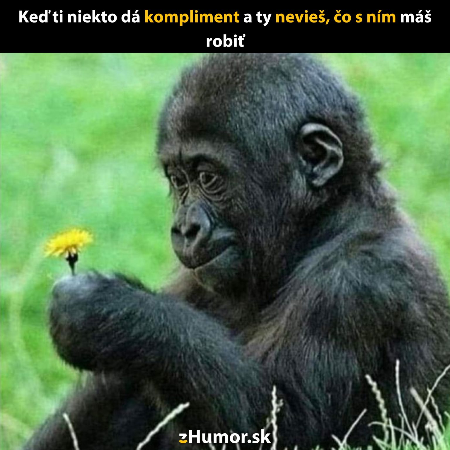 Zopár memečiek, ktoré vznikli, aby ti spríjemnili deň #1357 ...