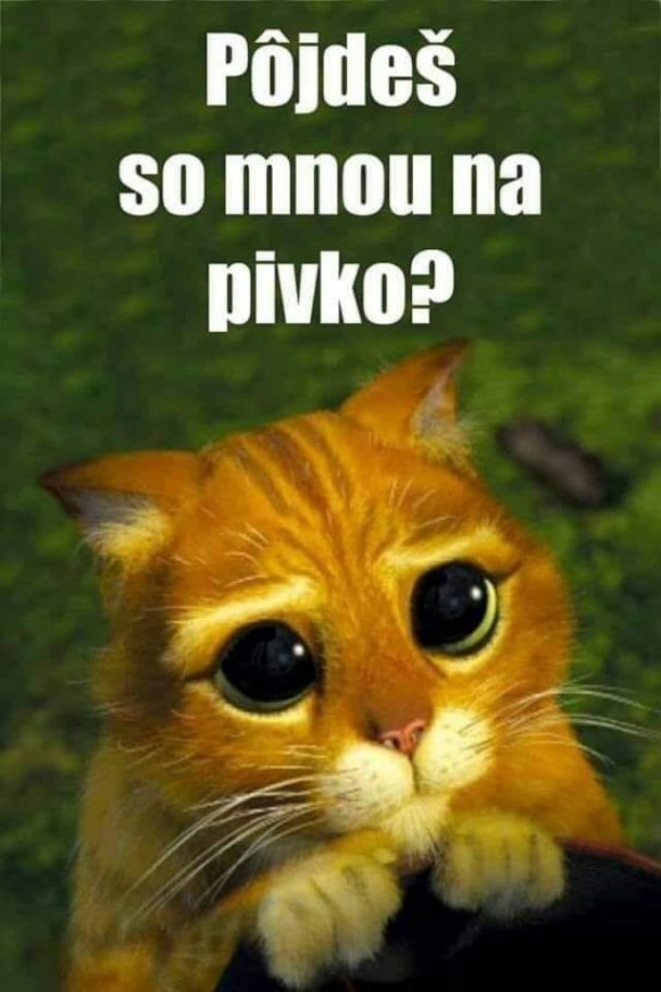 20+ Obrázkov: Všetko vtipné z internetu! #362 - originálna narodeninová ...