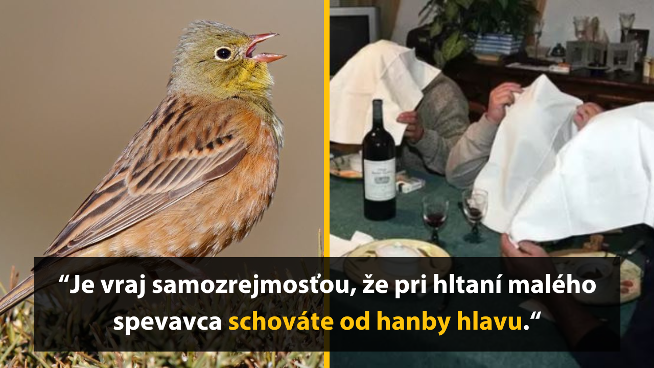 Toto bizarné jedlo je také hrozné, že ho musíte jesť s obrúskom na ...