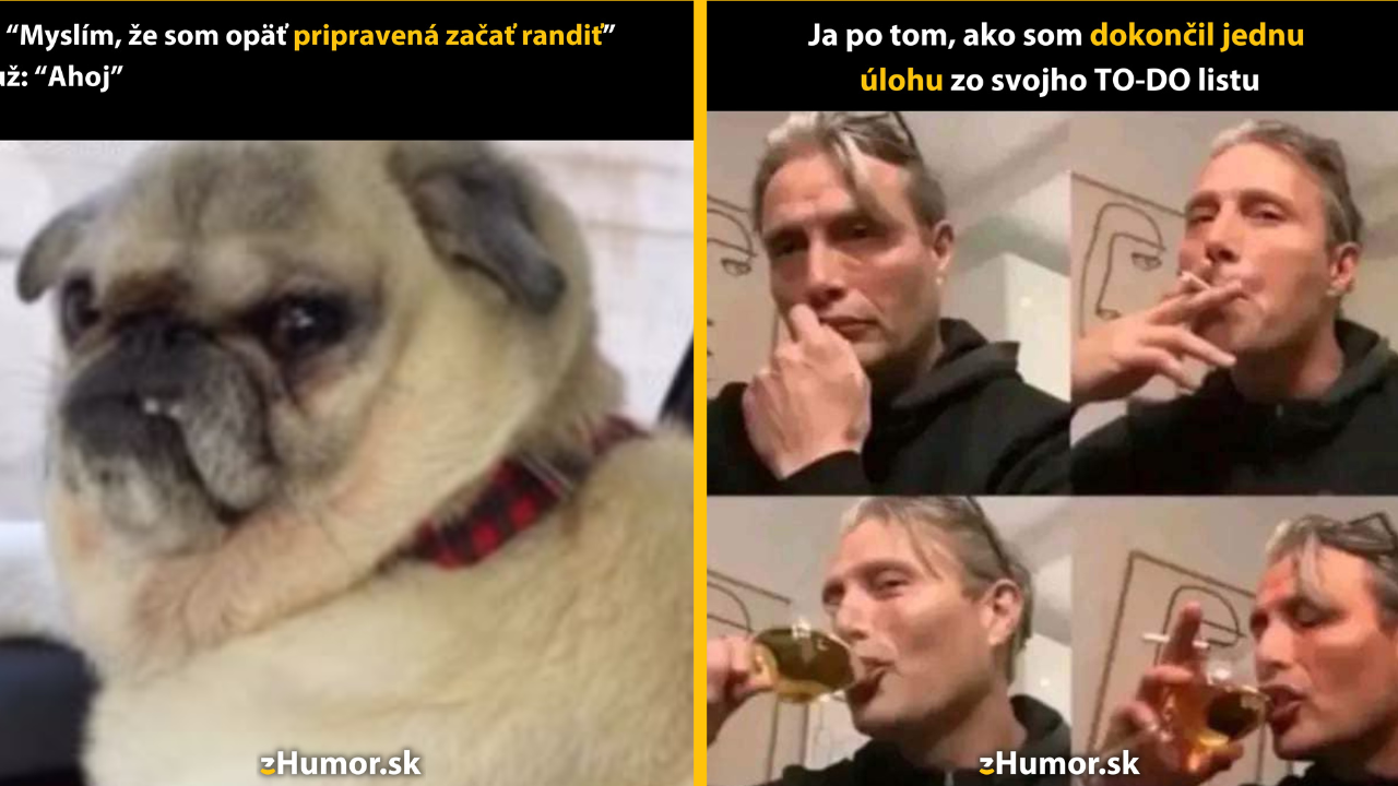 Zopár memečiek, ktoré vznikli, aby ti spríjemnili deň #1382: Myslím, že ...