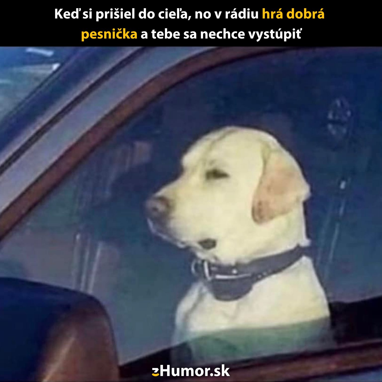 Zopár memečiek, ktoré vznikli, aby ti spríjemnili deň #1394: Skús sa ...