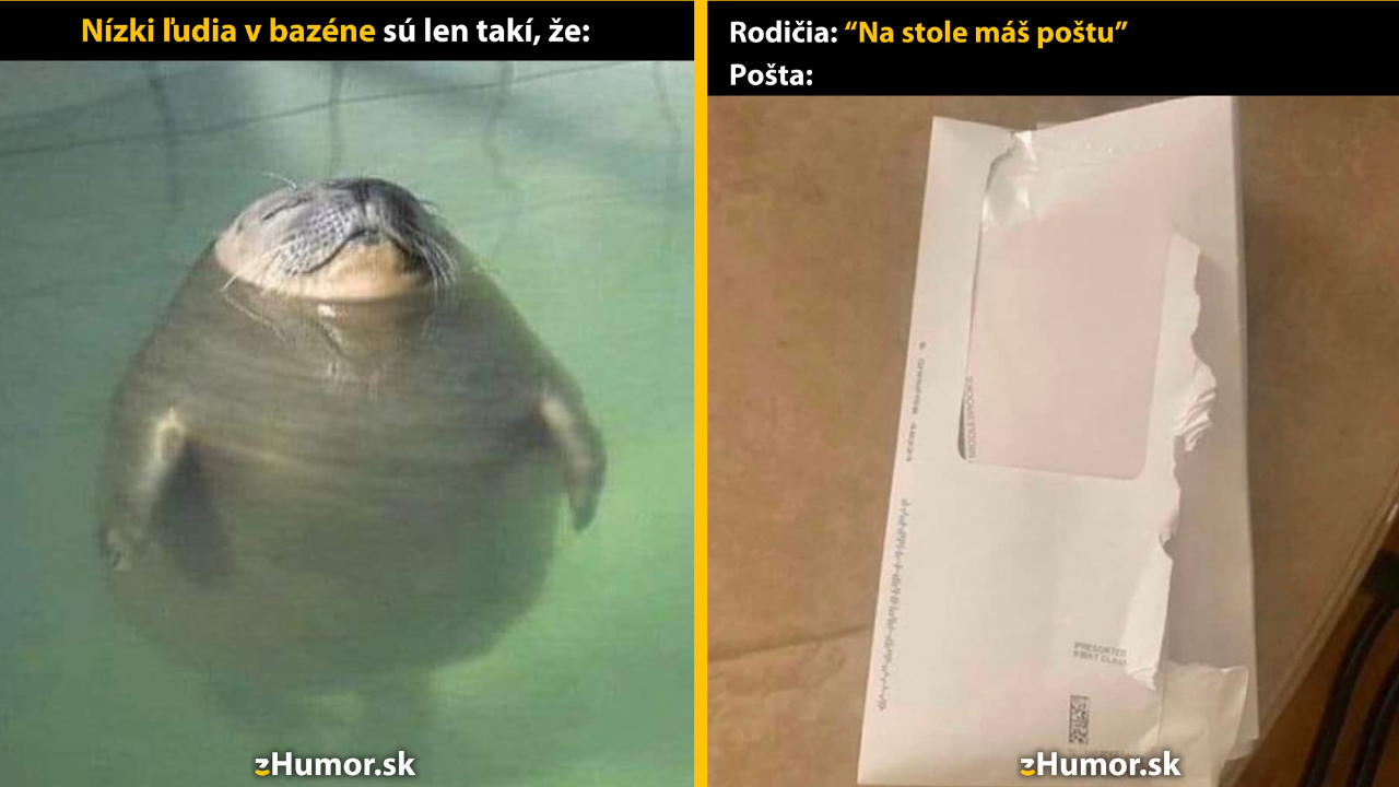 Zopár memečiek, ktoré vznikli, aby ti spríjemnili deň #1384: Dobrého ...
