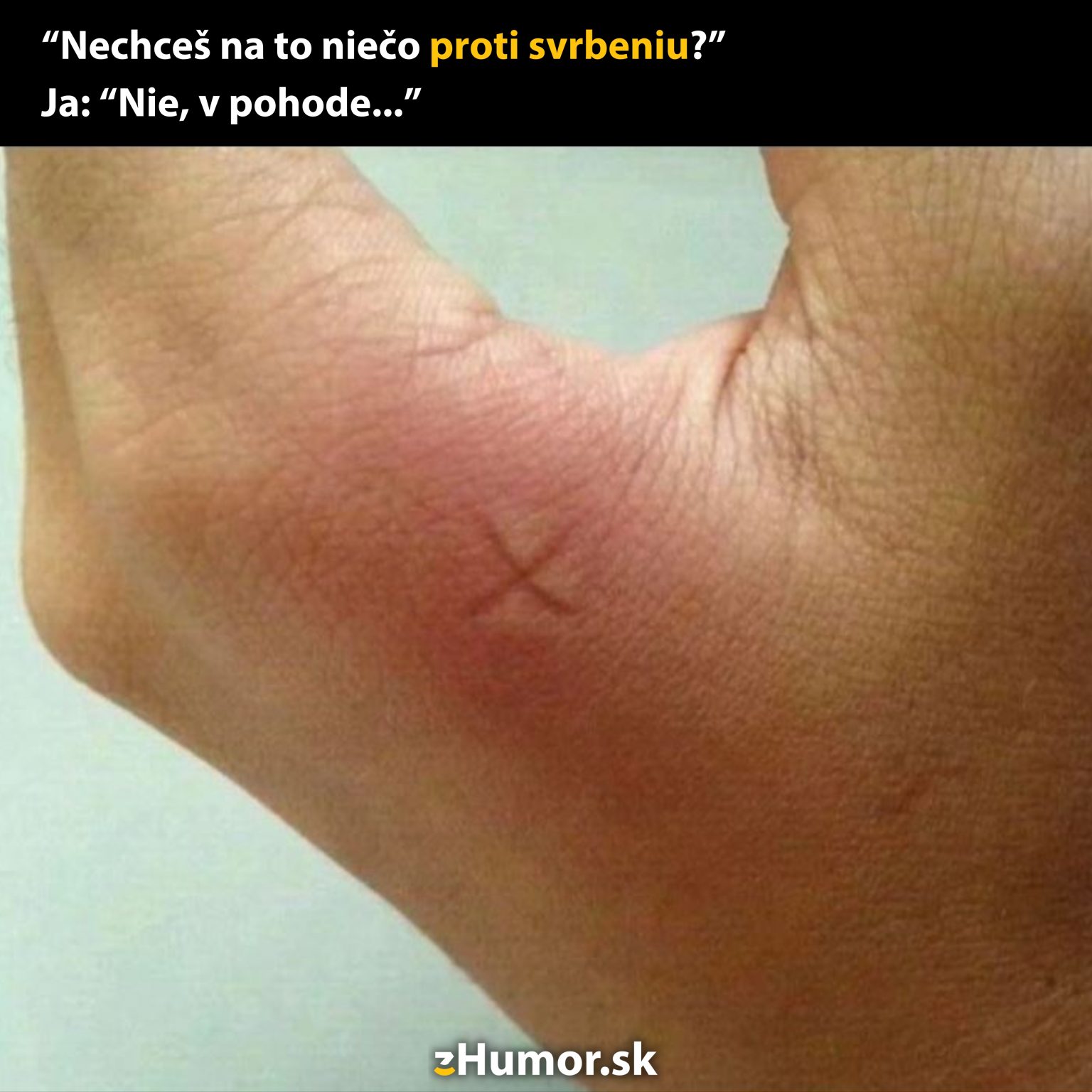 Zopár memečiek, ktoré vznikli, aby ti spríjemnili deň #1417: Mohol by ...