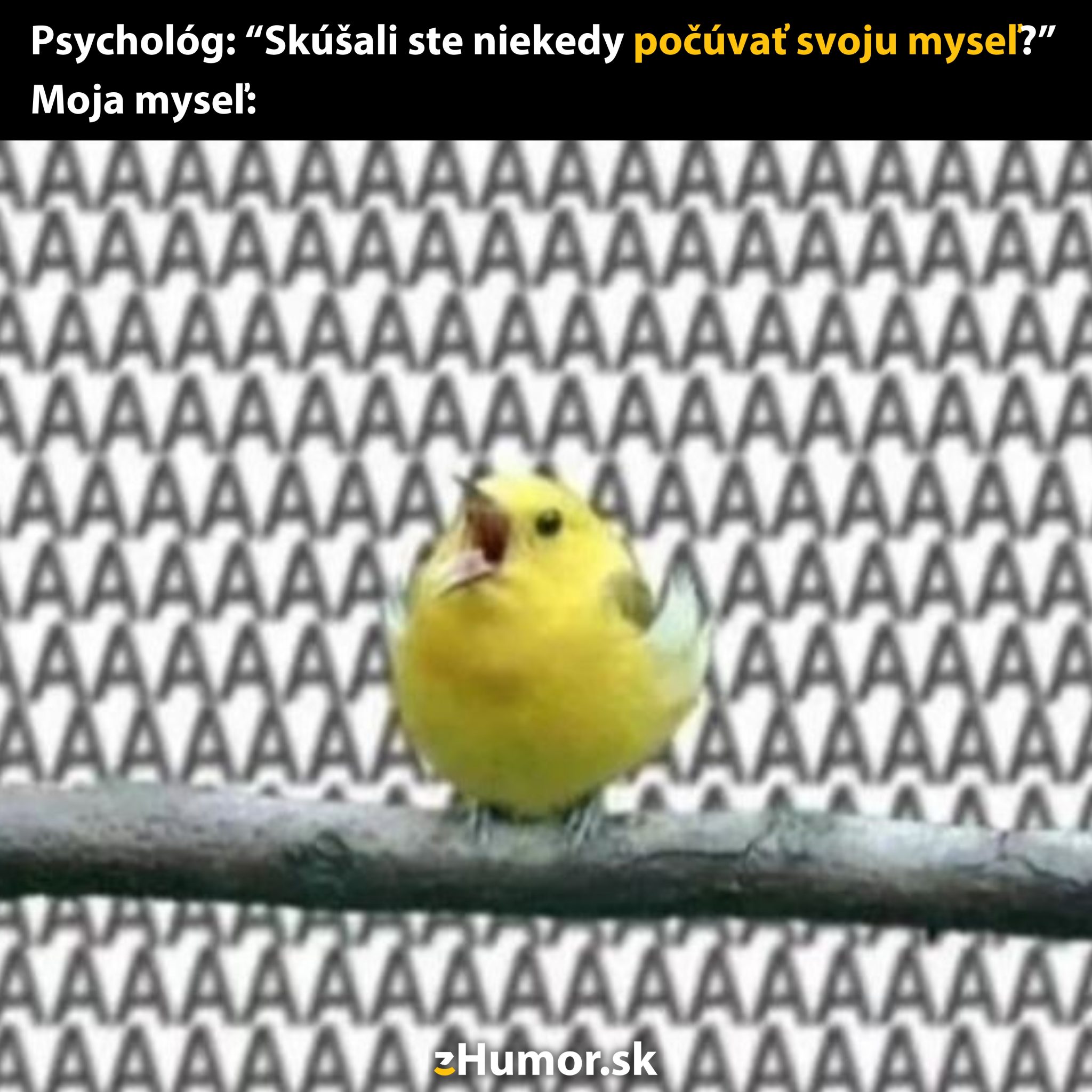 Zopár memečiek, ktoré vznikli, aby ti spríjemnili deň #1417: Mohol by ...