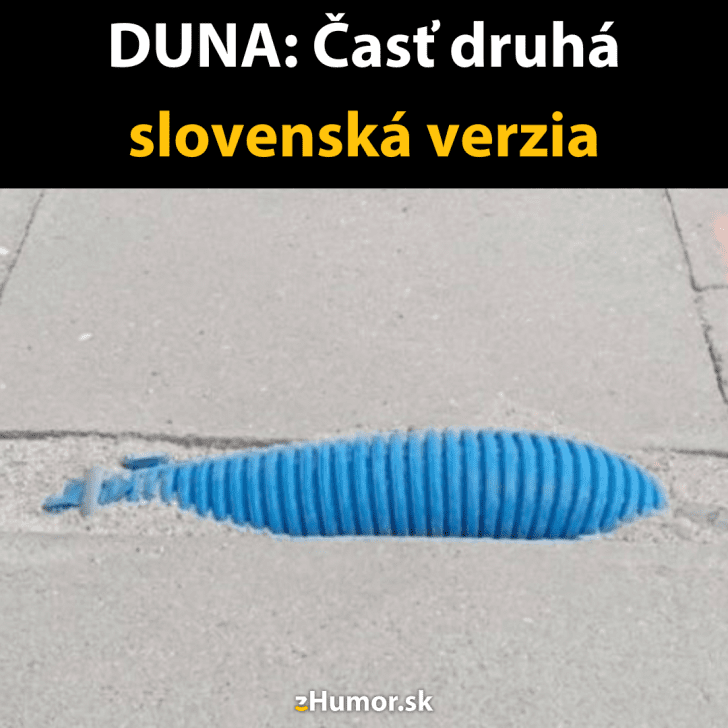 Duna po slovensky