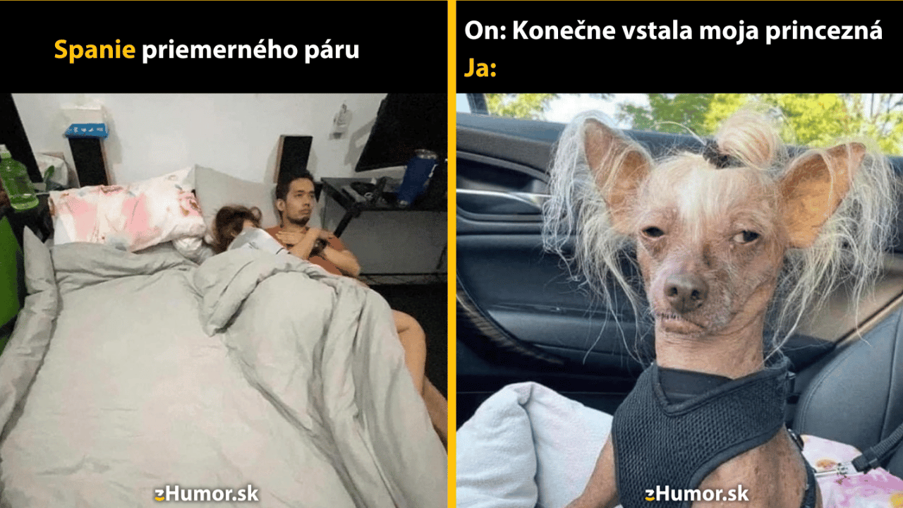 10 vzťahových memečiek, v ktorých sa spoznáš aj ty