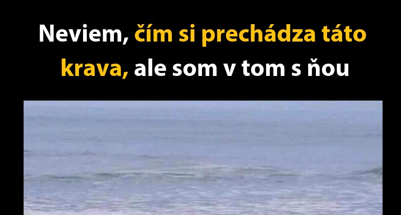 Neviem, čím si prechádza táto krava, ale som v tom s ňou