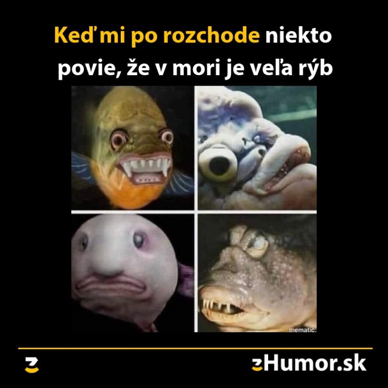 Keď mi po rozchode niekto povie, že v mori je veľa rýb
