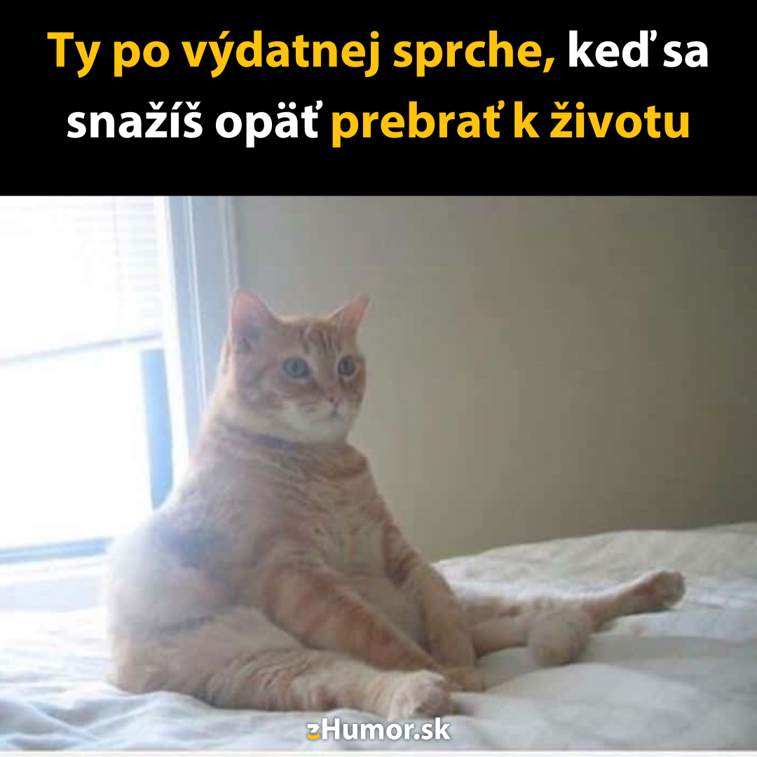 10 najvtipnejších meme obrázkov, pri ktorých sa neprestanete smiať