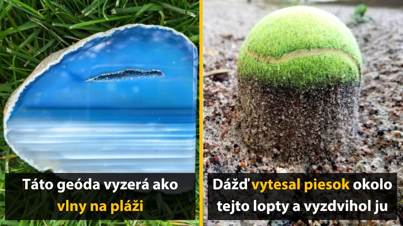 20 prípadov, kedy sa Matka Príroda rozhodla zdobiť a výsledky sú ...