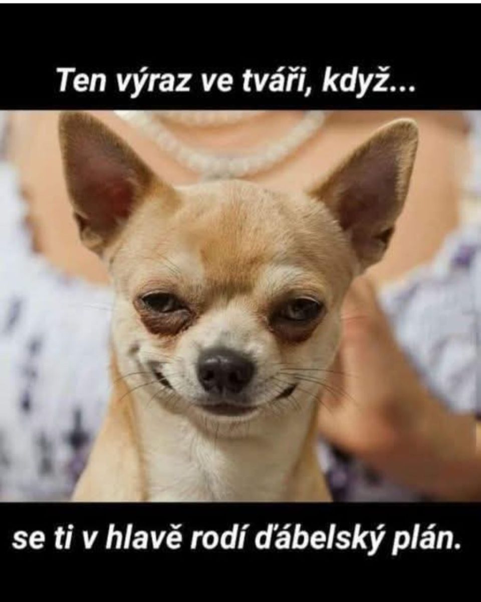 20+ Obrázkov: Všetko vtipné z internetu! #554 - Nakupovanie muž vs žena ...