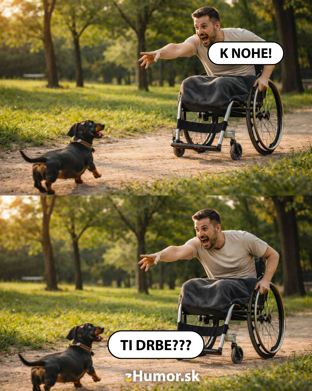 Keď sa snažíš vycvičiť psíka