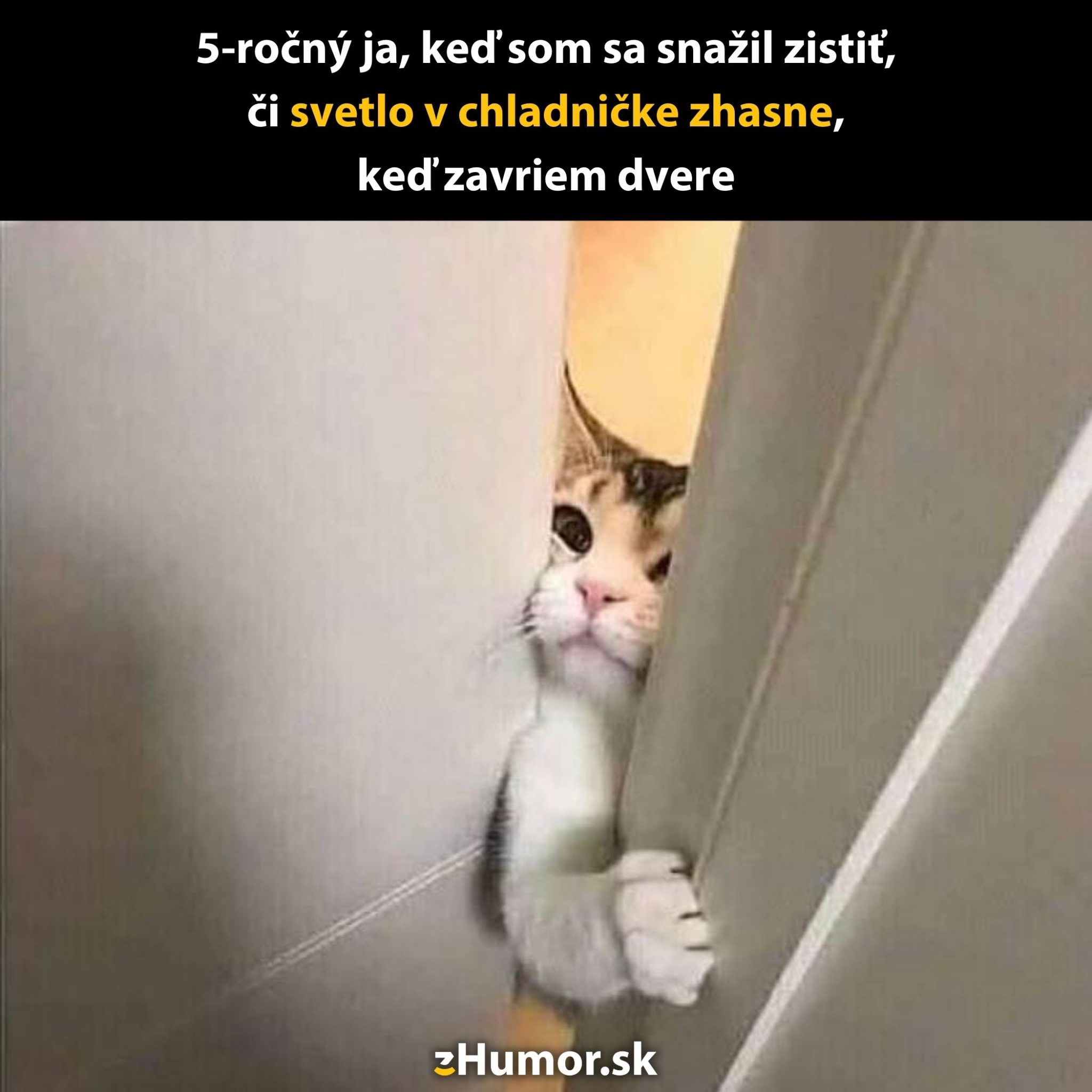 Zopár memes, ktoré vznikli, aby ti spríjemnili deň #1678: Pri tejto hre ...