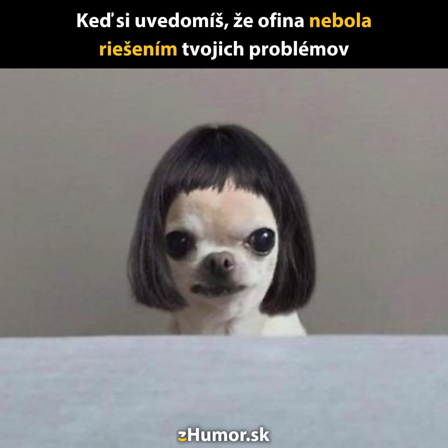 Zopár memes, ktoré vznikli, aby ti spríjemnili deň #1675: Je z nej len ...